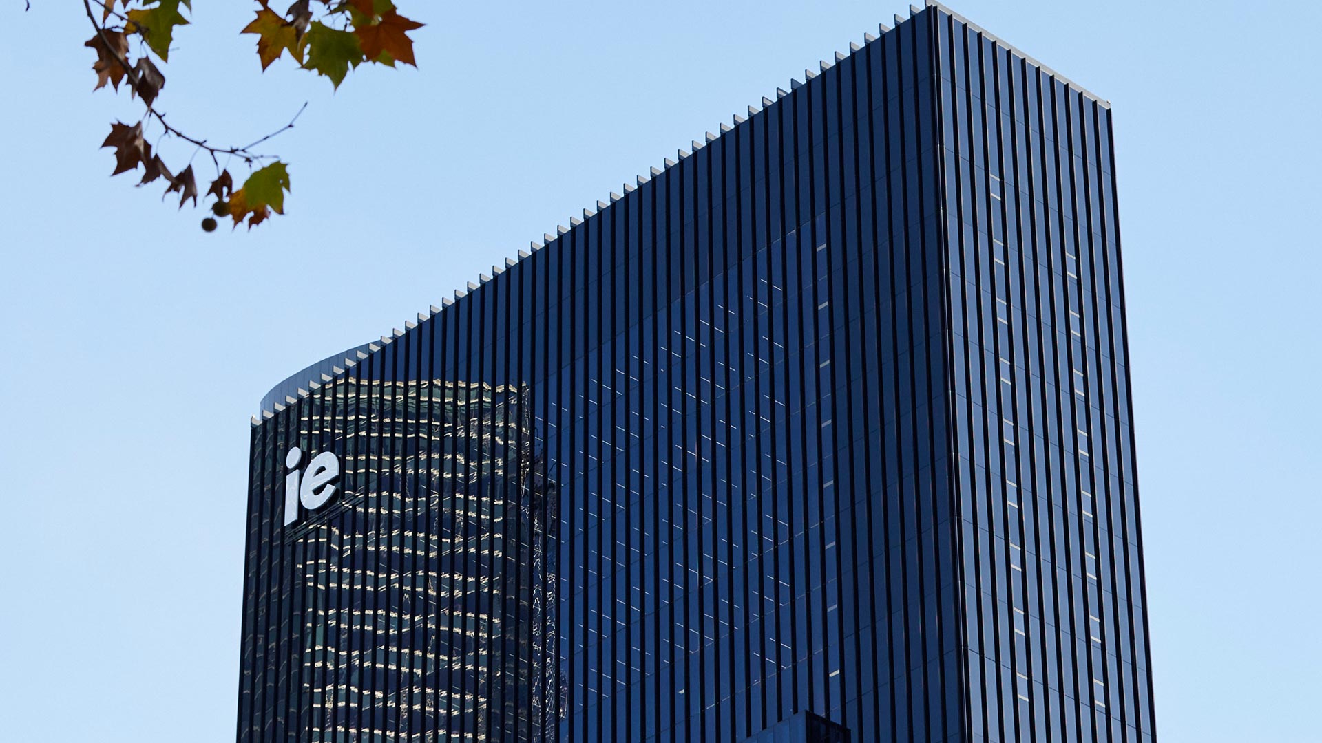 IE University | Cátedra Impact Bridge IE de Emprendimiento Social