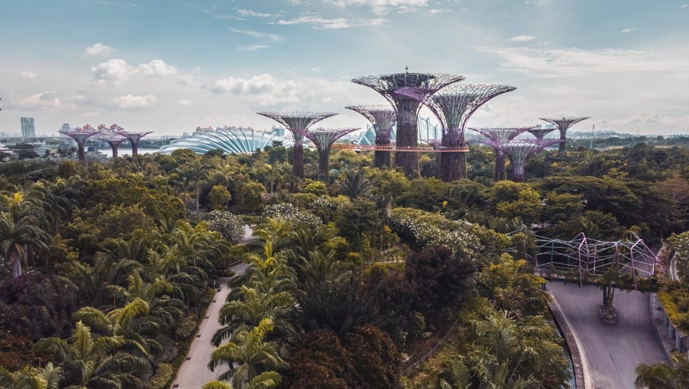 Sustainable development of cities | IE Insights