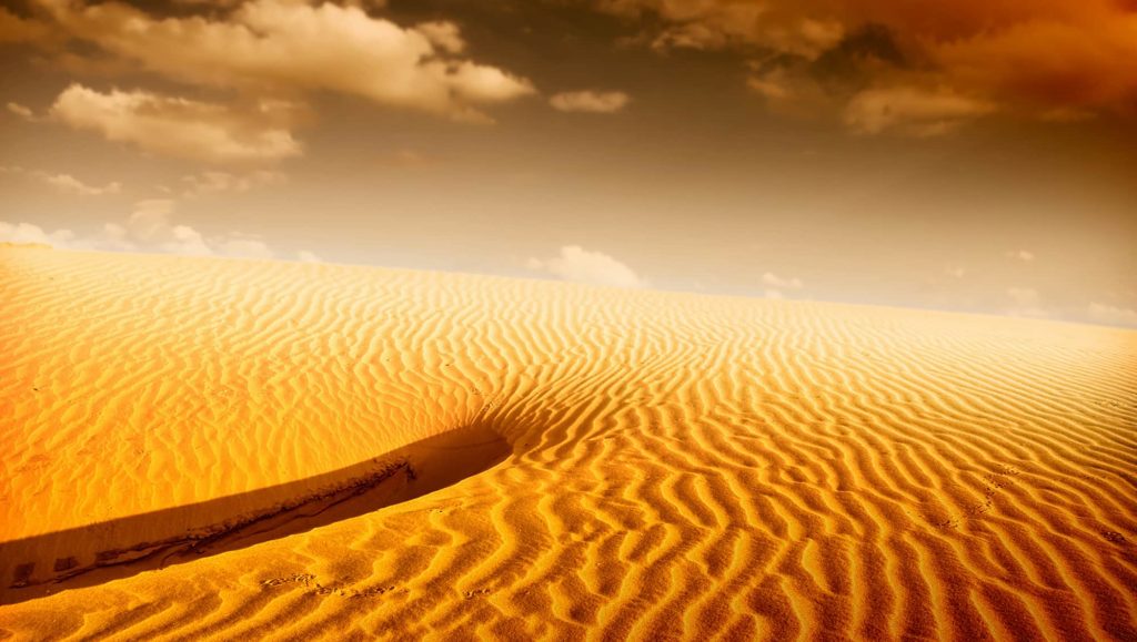 Un café arábigo para entender la diversidad en el islam | IE Insights