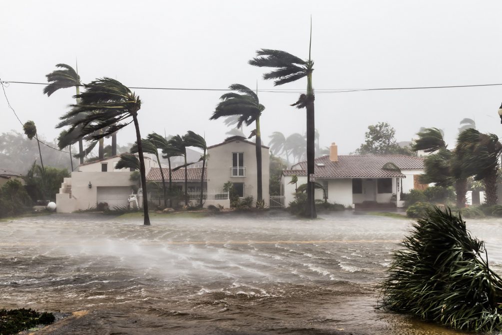 Mortgage Markets Taken by Storm | IE Insights
