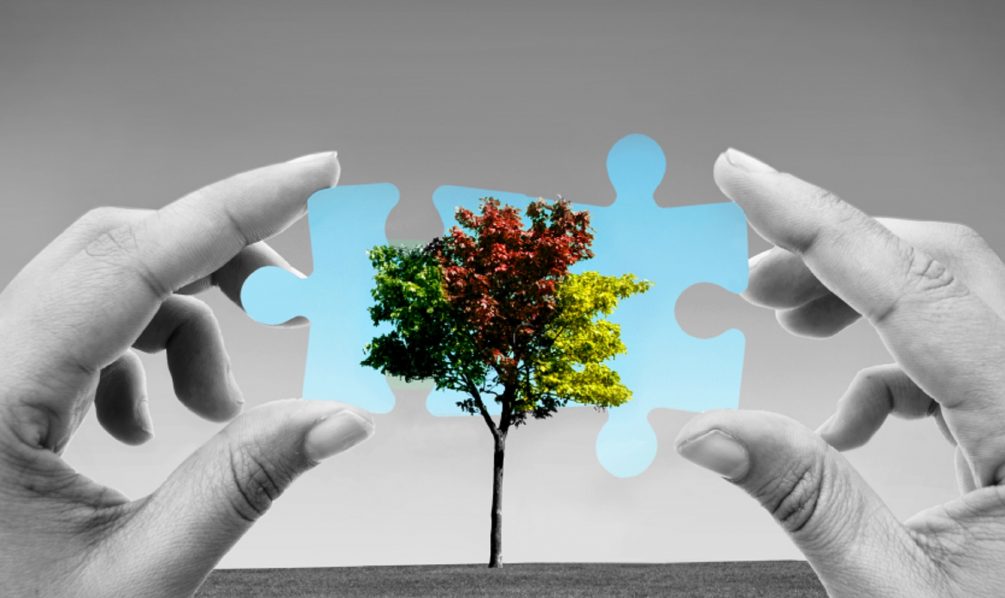 Filling the Climate Technology Gap | IE Insights