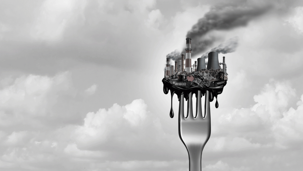 Gernot Laganda | IE Insights