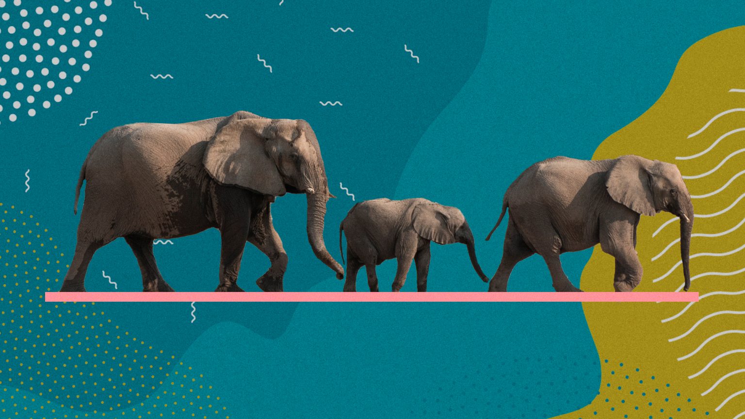 Better Together: Intergenerational Collaboration | IE Insights