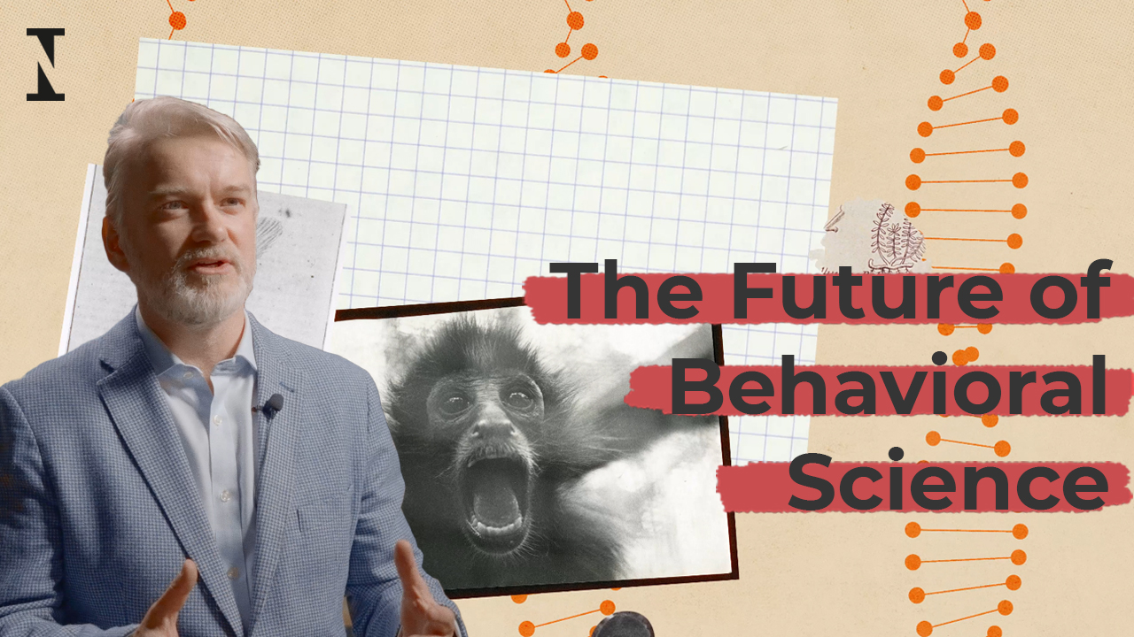 From Instinct to Innovation: The Future of Behavioral Science | IE Insights
