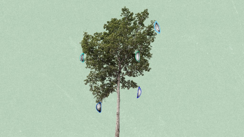 Happiness Is Where Nature, Community, and Purpose Meet | IE Insights