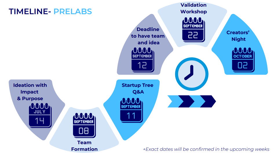 Timeline - Startup Lab