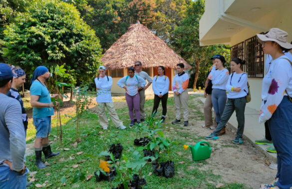 From classroom to canopy: IE University students’ journey into the ...