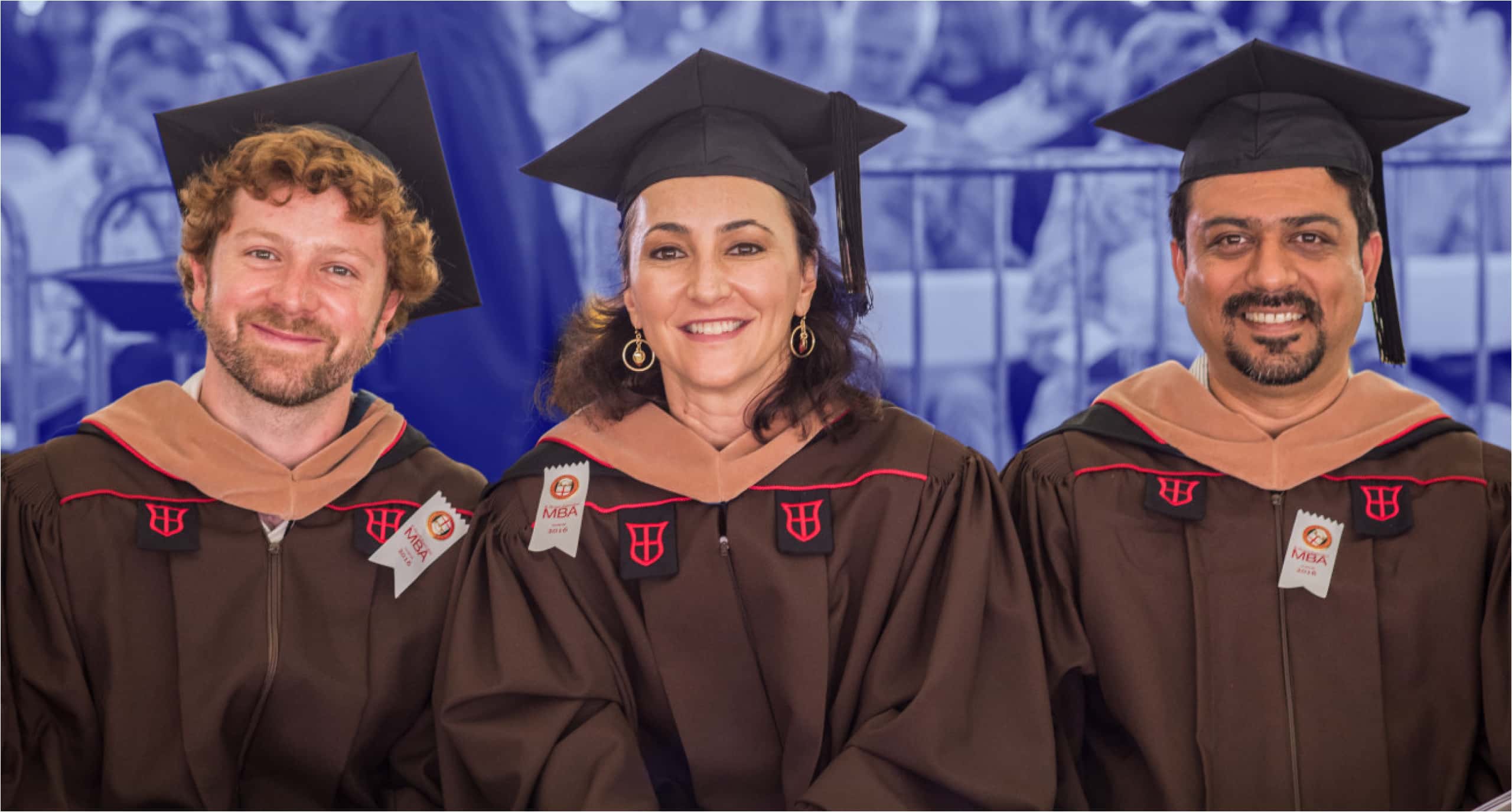 IE Brown Executive MBA: Advantages for career growth